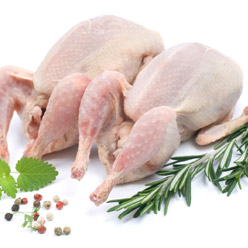 Home [www.fatric.com.my]